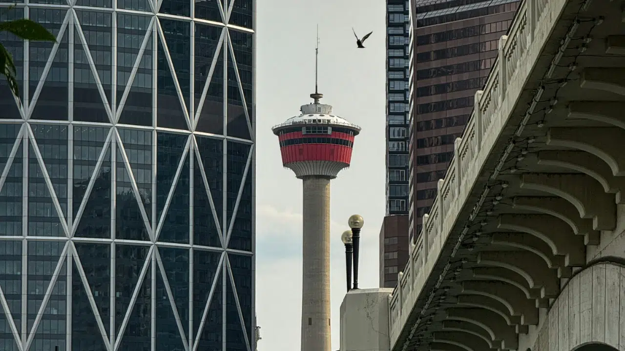 Apostille Alberta: Expert Authentication Services in Canada | LSC