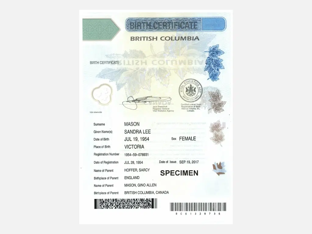 Birth Certificate Apostille: Quick Authentication of Documents | LCS